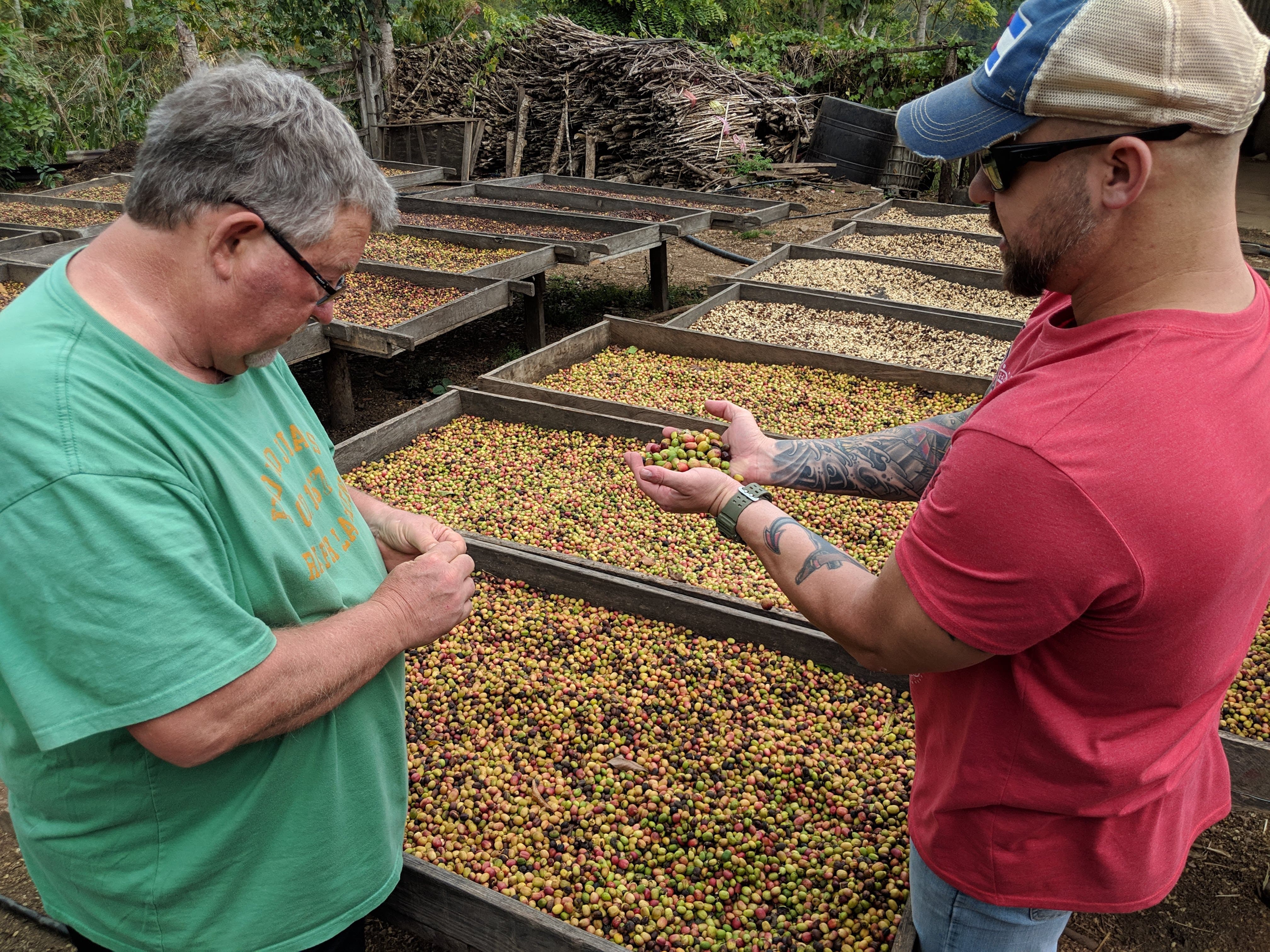 Deeply Rooted Grounds- Coffee - Deeply Rooted Grounds, Inc.