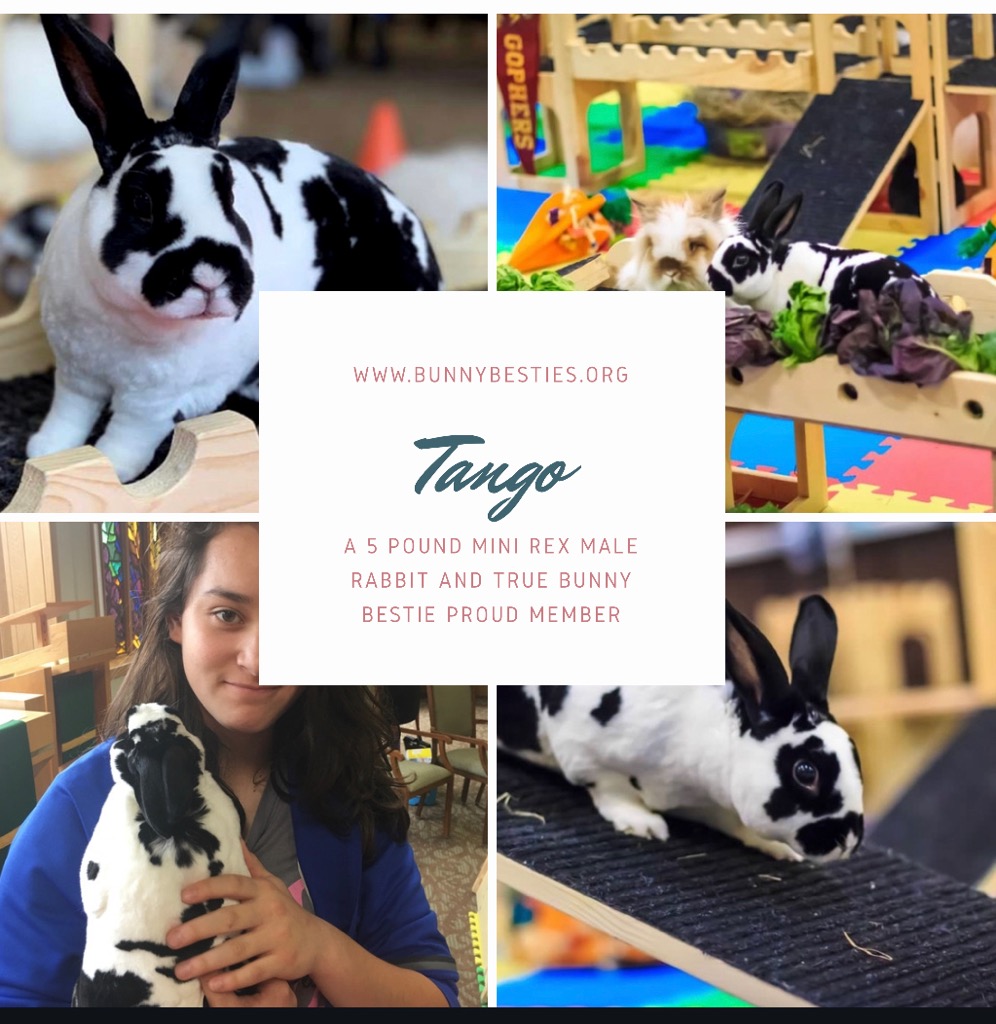 Hop On Our Fundraiser 2021 - Bunny Besties