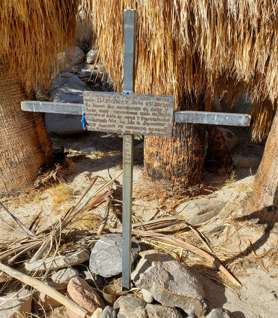 Border Angels and Migrants Walk More - Border Angels