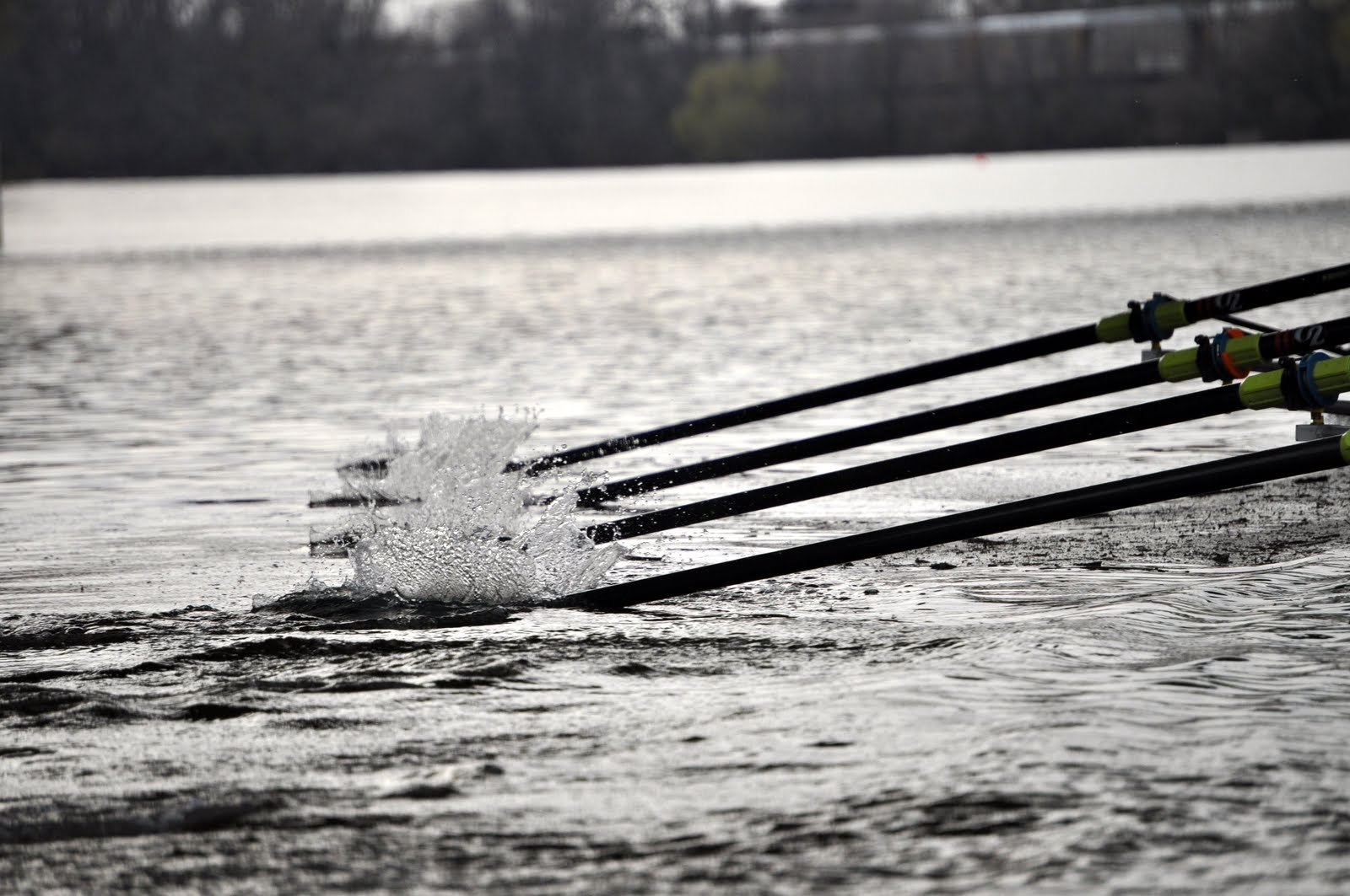 Spartans Give - Red Cedar Rowing Foundation