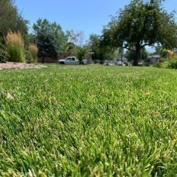 TWCA Turf Trade - Turfgrass Water Conservation Alliance Limited