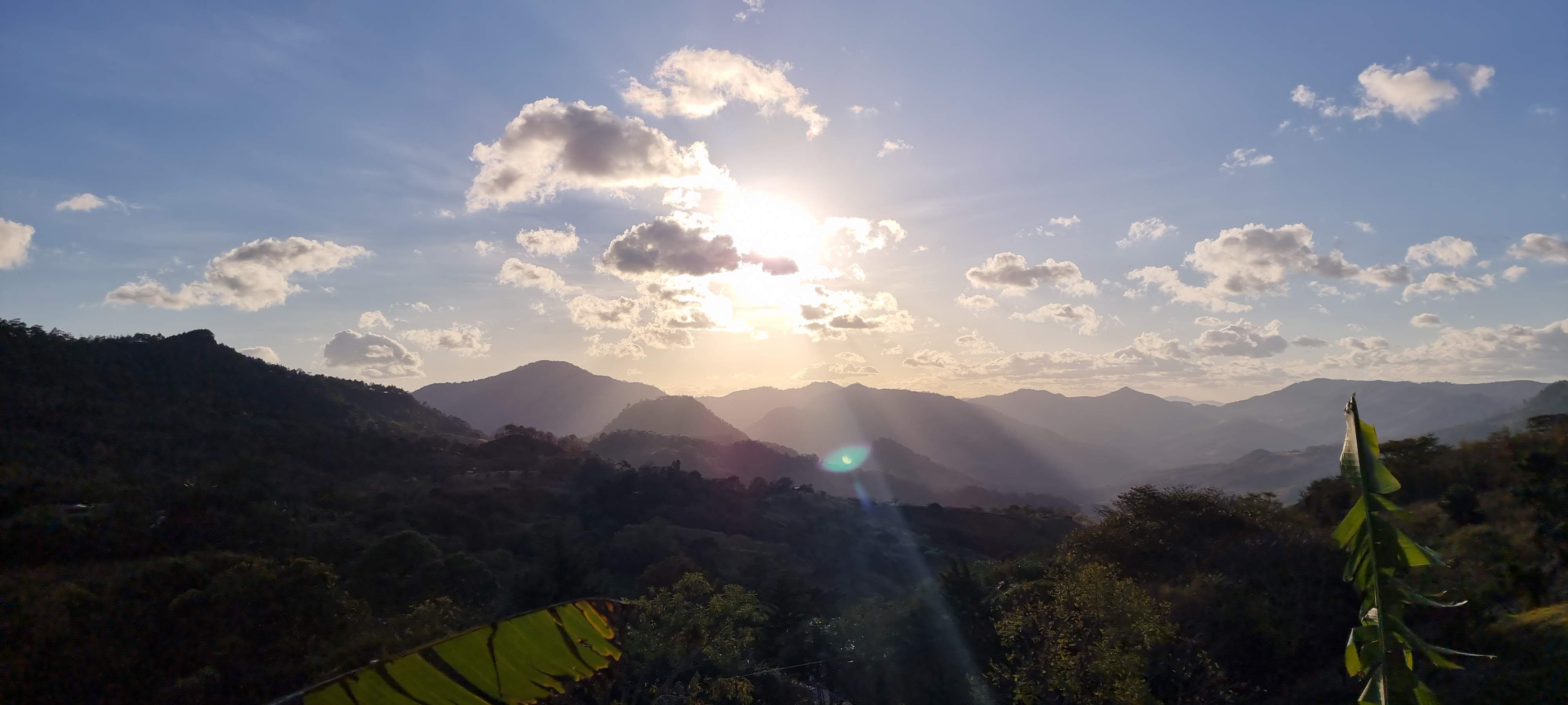 Make an Impact Today!! - Deeply Rooted Grounds, Inc.