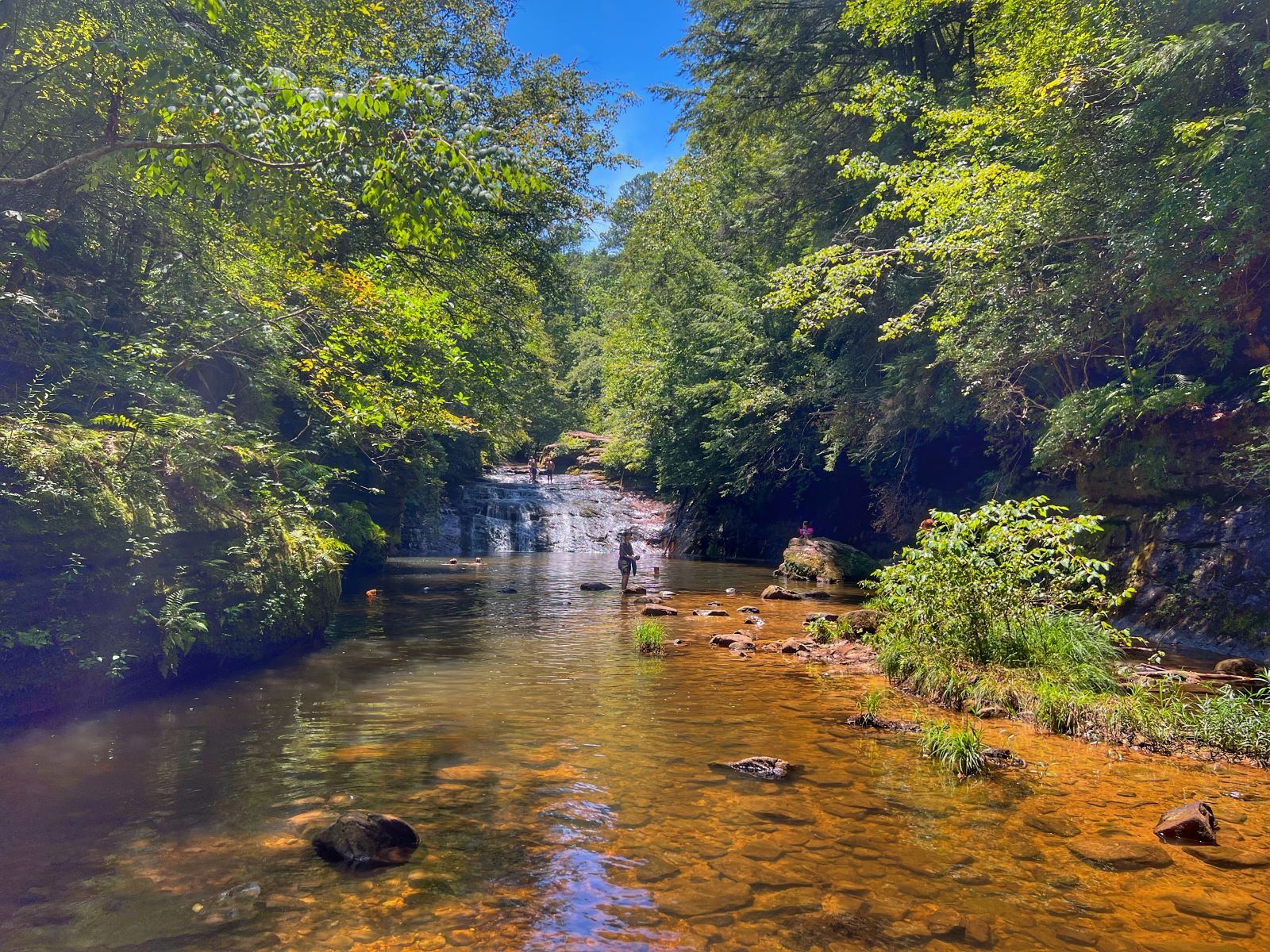 Kinlock Historic District Cleanup July 12, 28 - Wild Alabama