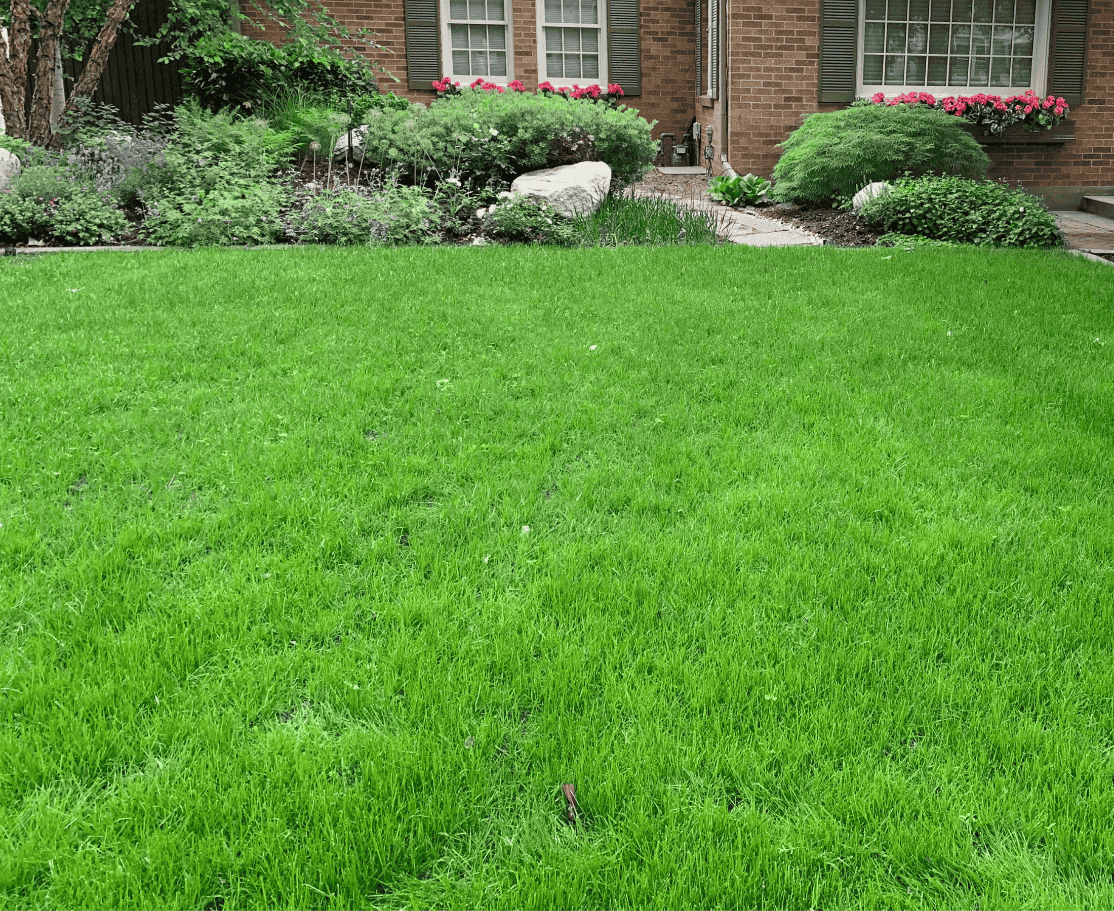 TWCA Turf Trade - Turfgrass Water Conservation Alliance Limited