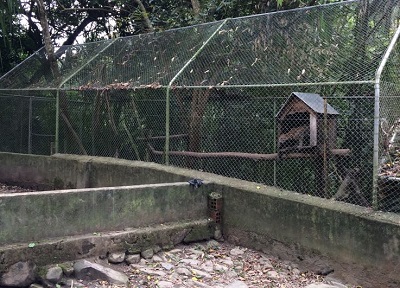 The Ocelot Project - La Senda Verde