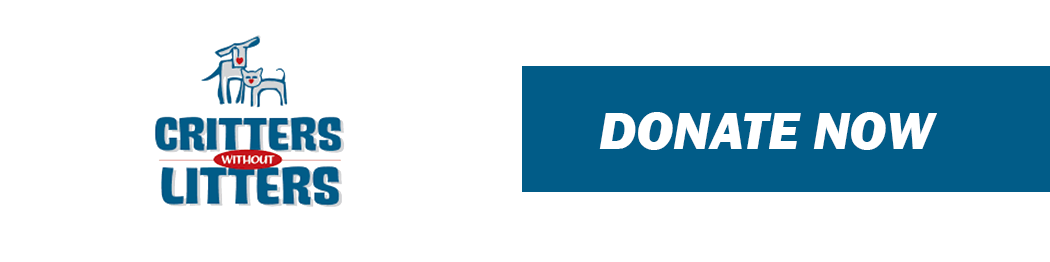 Donate Now - Critters Without Litters, Inc.