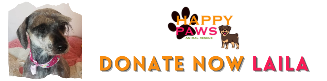 Laila - Happy Paws Animal Rescue