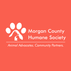 DONATE NOW AND HELP A HOMELESS ANIMAL - Morgan County Humane Society