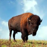 ONLINE- ASL Class Spring 2020 - BUFFALO - People, Inc.