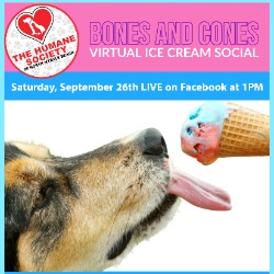 Virtual Ice Cream Social : Ice Cream Social for Team Building – HEQXD