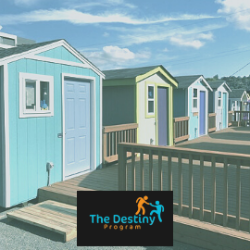 The Destiny Program - Destiny Program