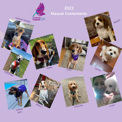 2022 Outrun Lupus 5K Run-Walk Mascot Contest - Lupus Foundation of ...