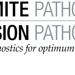 Yosemite Pathology Monetary Funds Drive SHFB - Second Harvest Food Bank ...