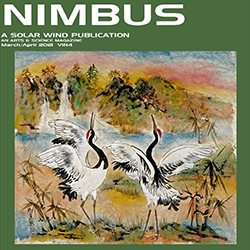Nimbus 4 - Solar Wind Media Group, Inc.