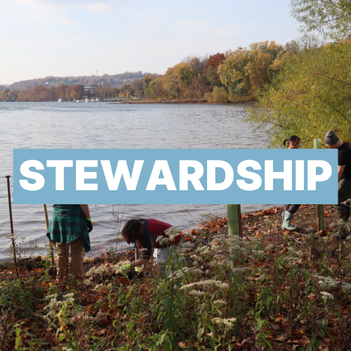3 Rivers Stewardship - Three Rivers Waterkeeper, Inc.