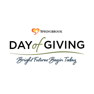 Springbrook Foundation's Day of Giving - SpringbrookNY, Inc.